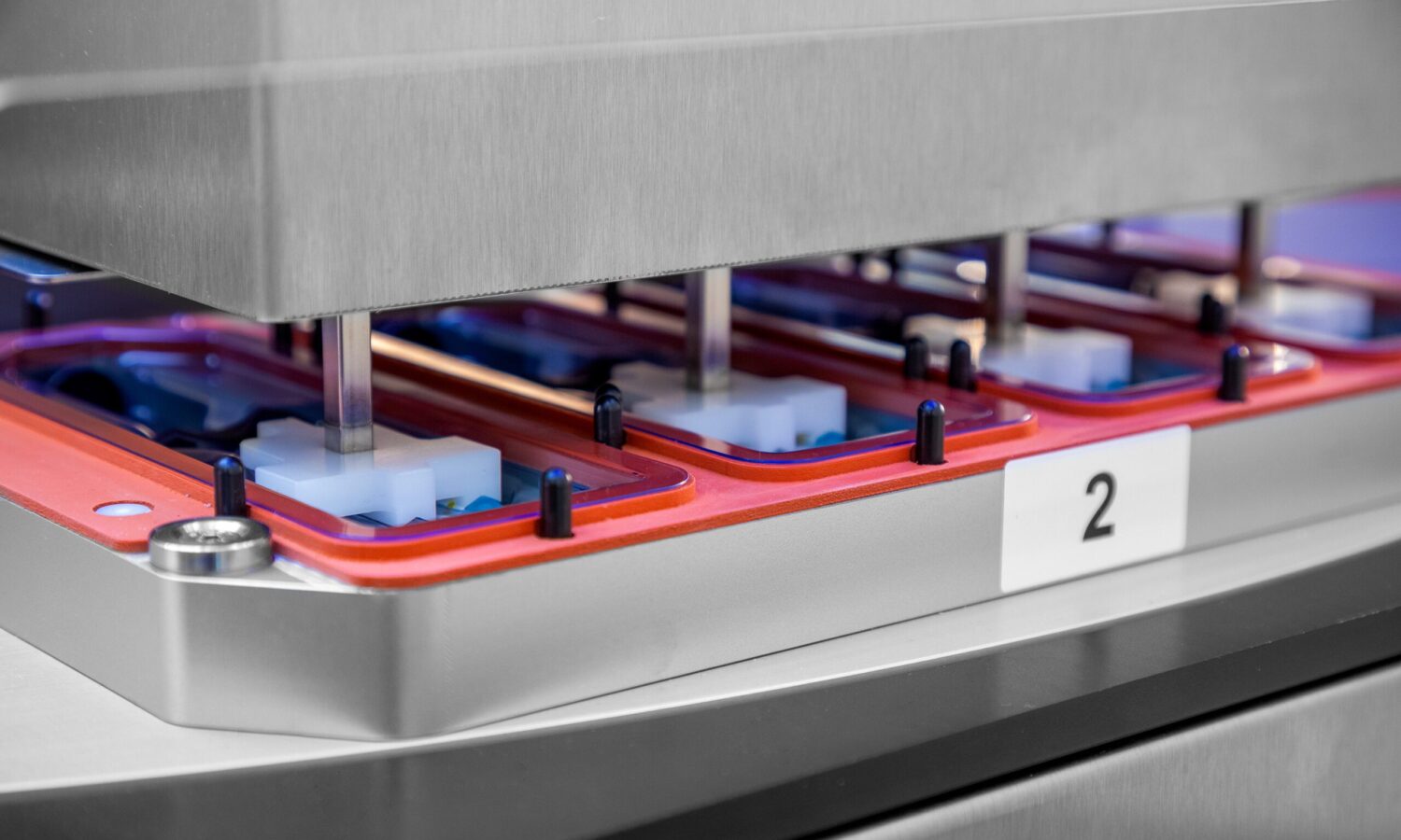 Blister fill and sealing machine | Machines | GTE Engineering