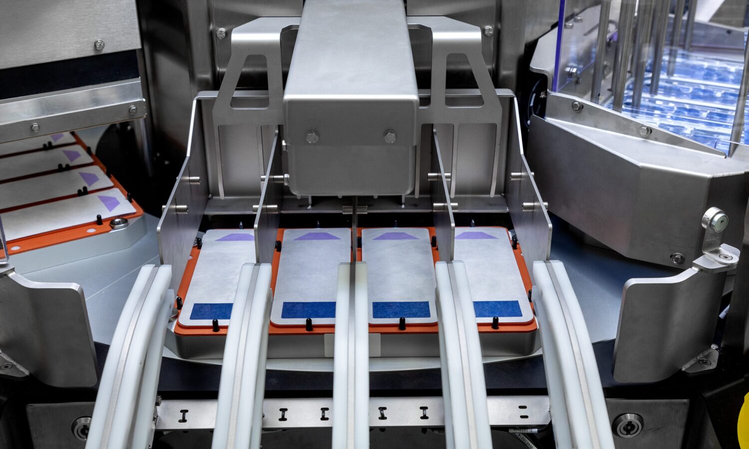 Blister fill and sealing machine | Machines | GTE Engineering